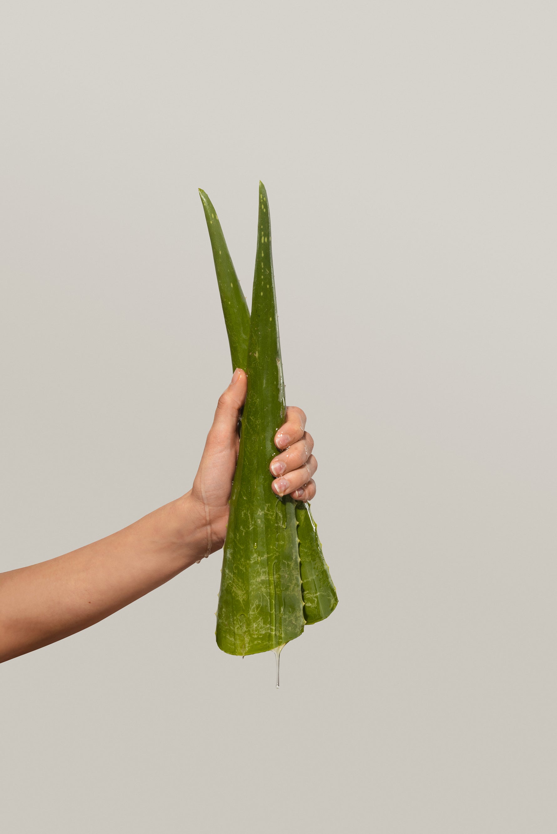 Aruba Aloe - World's Finest Aloe Since 1890