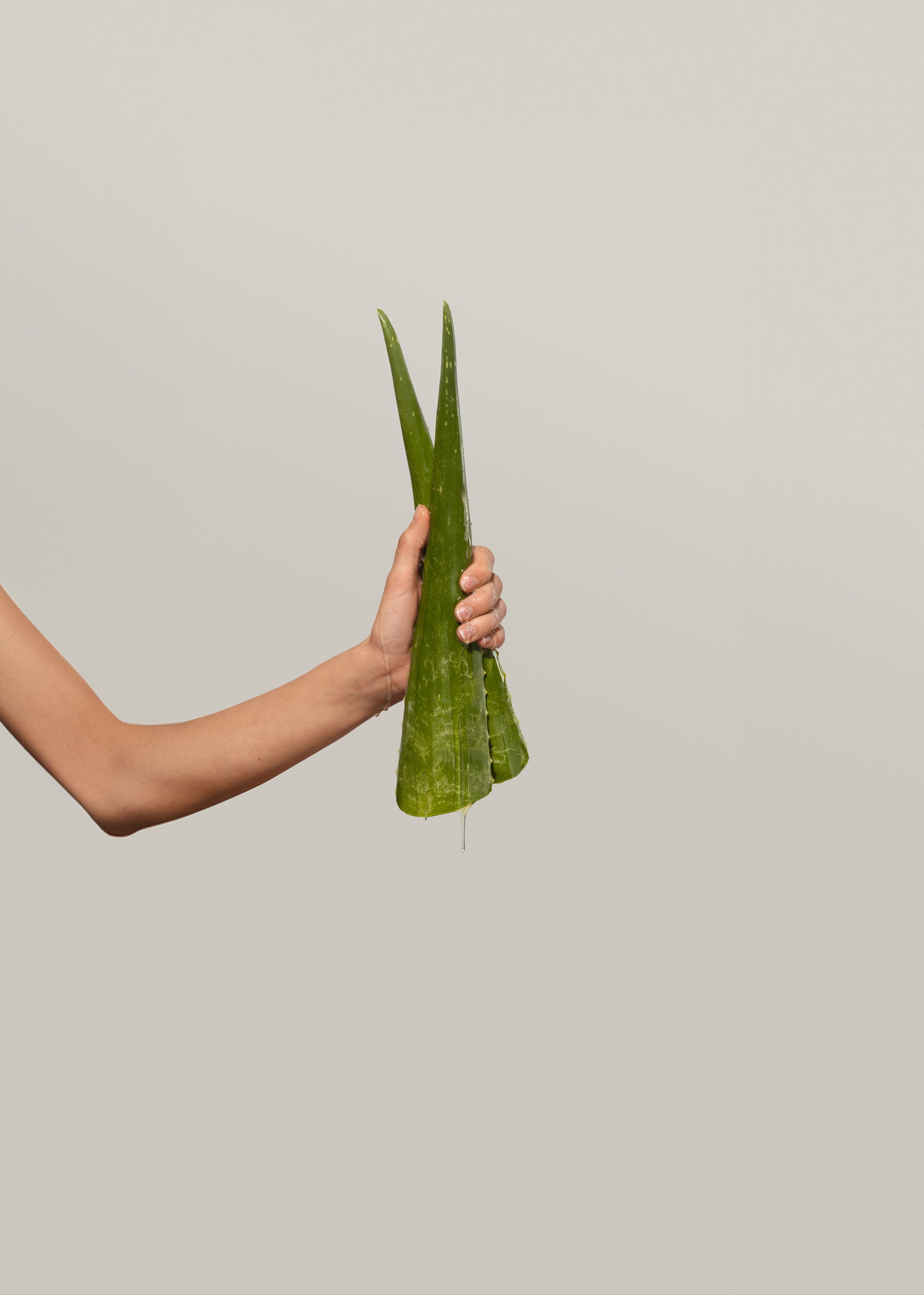 Aruba Aloe - World's Finest Aloe Since 1890